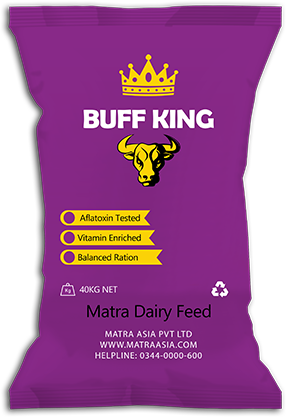 Matra Asia | Official